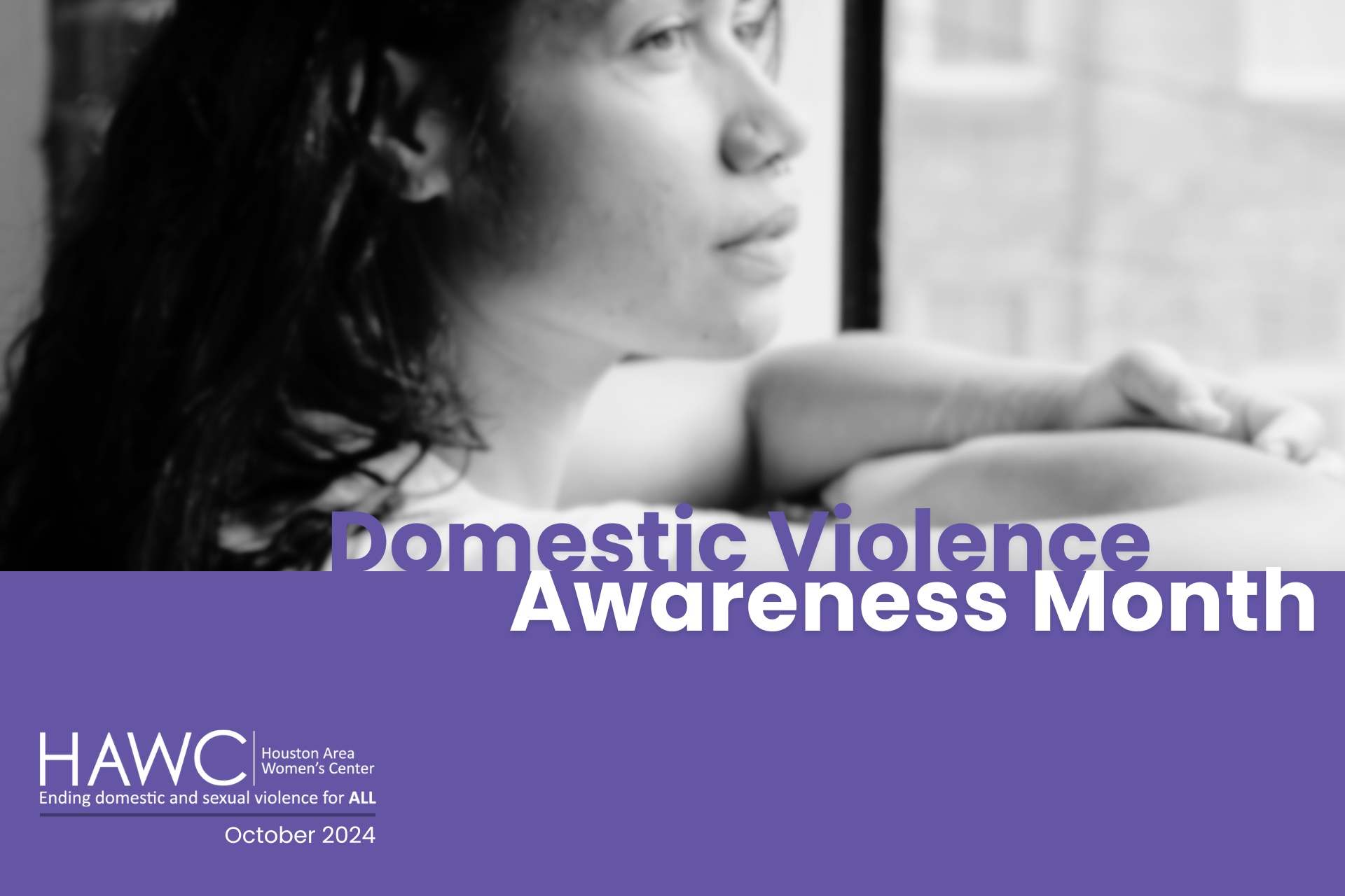 Houston Area Women's Center - DVAM